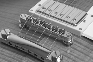 electric guitar guide, pickups, necks and strings